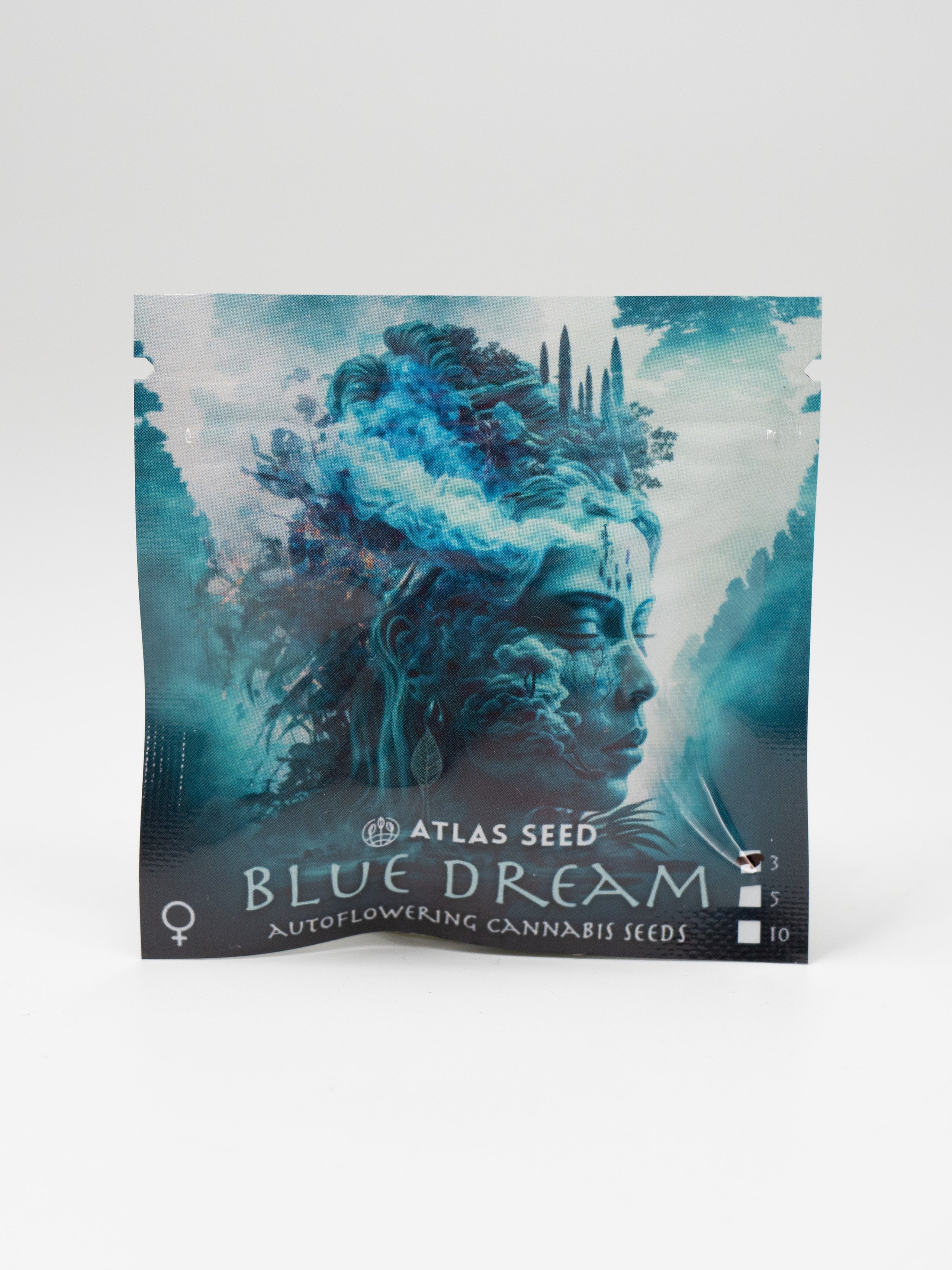 Atlas Seed | Autoflowering Cannabis Seeds | 3ct Blue Dream | Strains of ...